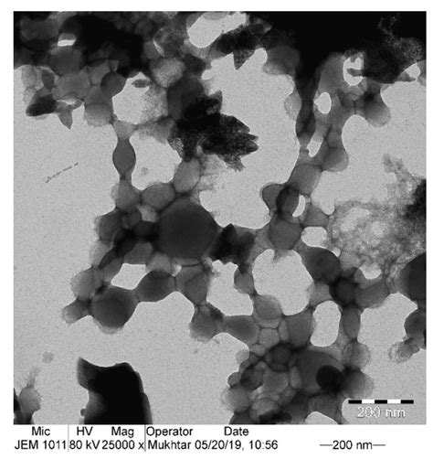 Sunset Yellow Dye Induces Amorphous Aggregation In β Lactoglobulin At
