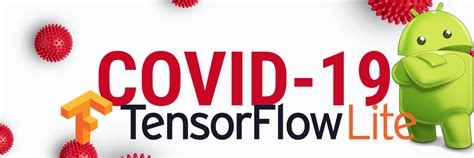 training yolov11 object detector on a custom dataset by esteban uri medium