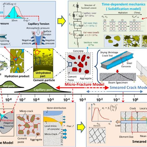 Pdf Multi Scale And Multi Chemo Physical Modeling Of Cementitious Composite And Its