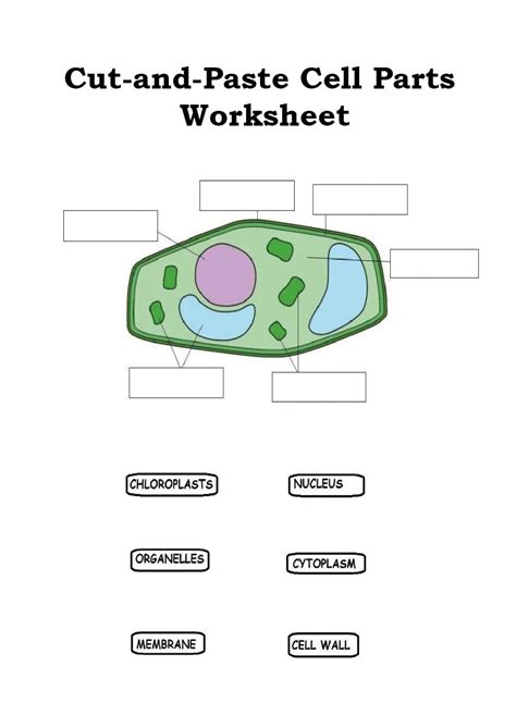 Cut And Paste Cell Parts Worksheet Download And Print Now