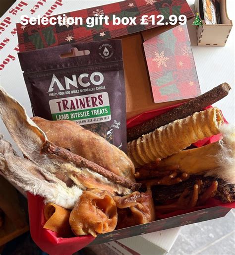 Chase Cockapoos And Miniature Poodles