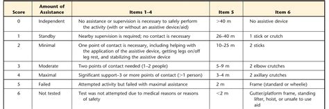 Modified Lowa Level Of Assistance Scale Modified Lowa