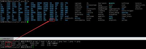 Linux进程初识