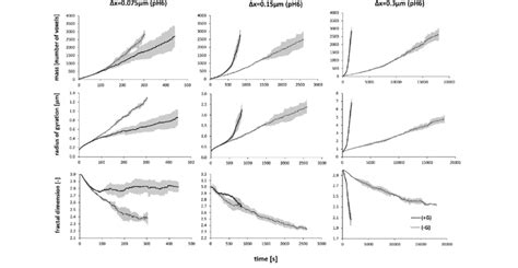 Temporal Development Of The Mean Aggregate Mass Radius Of Gyration