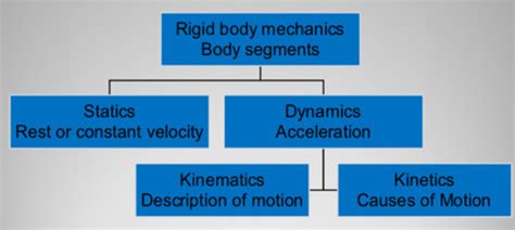 Basic Biomechanics Concepts CH Flashcards Quizlet