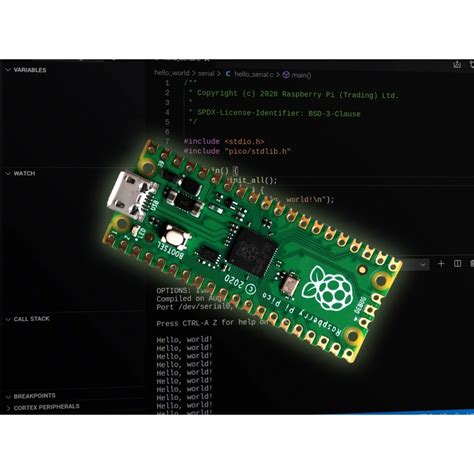 Raspberry Pico To Rubber Ducky Custom Python Payload Shopee Malaysia