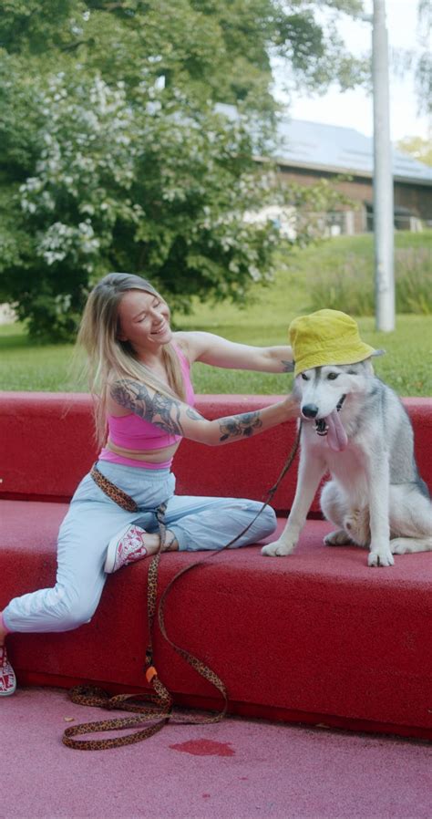 Dogknottcompilation Videos Download The Best Free 4k Stock Video