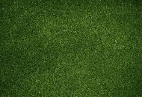 Premium Photo Sunny Day Green Grass Texture Background