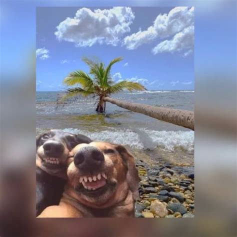 D I X I E D I A Z Dixiediaz On Threads