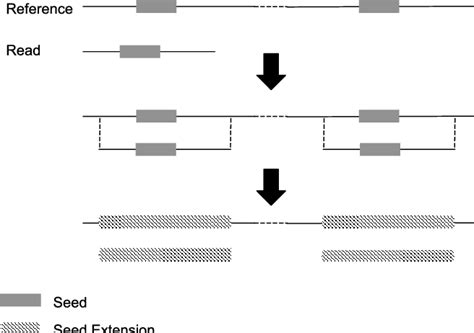 Figure 1 From A Comparison Of Seed And Extend Techniques In Modern Dna