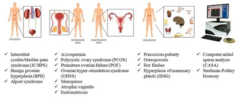 Precocious Puberty Female