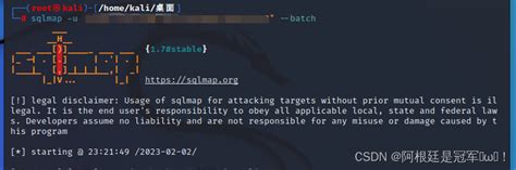 Sqlmap：自动化sql注入渗透工具详解 Csdn博客