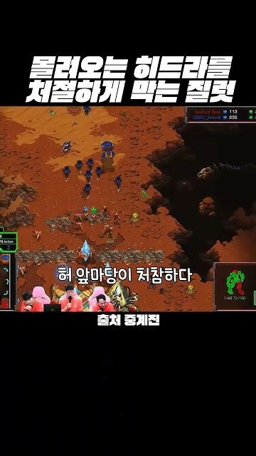 몰려오는 히드라를 처절하게 막는 질럿 스타크래프트 히드라 질럿 스타플레이 Youtube