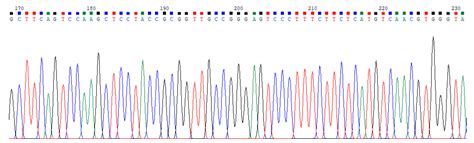 Dna Chromatogram