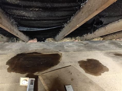 Leaky Roof Repairable Or Replacement Rdiyuk