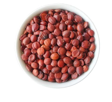 Manufacture Jujube Kernel Extract