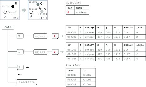 An Example Of The Description Of The Spatiotemporal Information Of