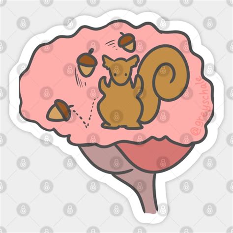 Squirrel Brain Squirrel Brain Sticker Teepublic