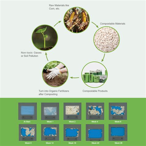 Common Raw Materials For Biodegradable Plastic Bags Pla Pbat And