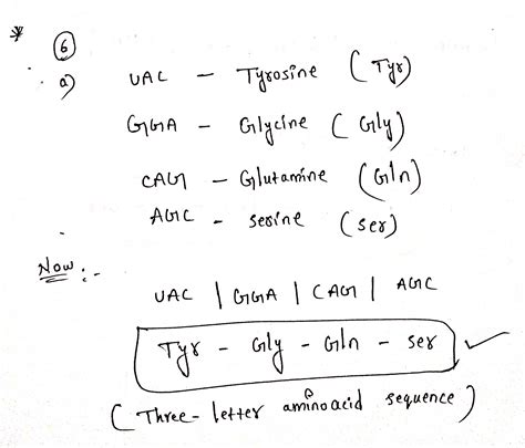 [solved] 6 Using The Genetic Code Wheel Answer The Following Questions 3 Course Hero