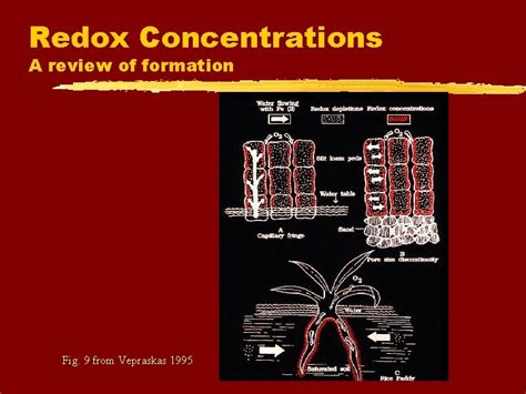 Redoximorphic Features Redoximorphic Features For Identifying Aquic