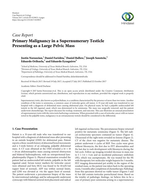 Pdf Primary Malignancy In A Supernumerary Testicle Presenting As A
