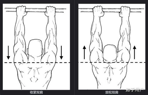 如何一步步锻炼到可以做引体向上？ 知乎