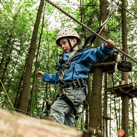 Kletterwald Hochseilgarten 🤩 Wald Michelbach Hessen