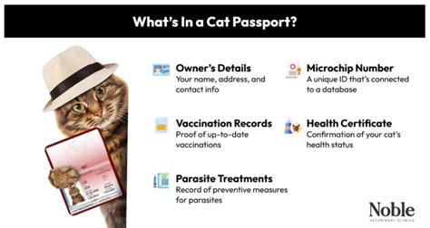 How To Get A Cat Passport In 5 Easy Steps Avoid Delays