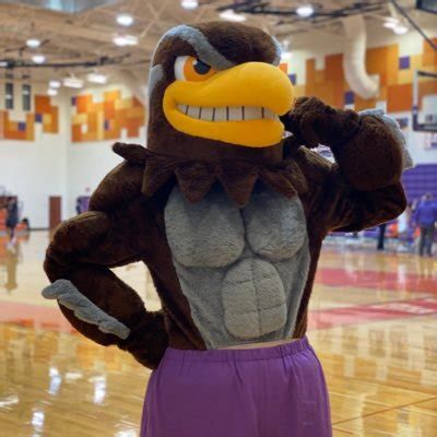 Eastlakefalconathletics Ehsfalconsports Posts X