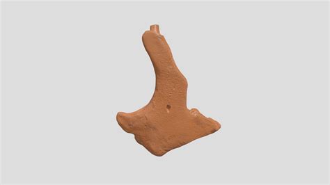 Zygomatic L 3d Model By 3d Leiden Archaeology 70a96b8 Sketchfab