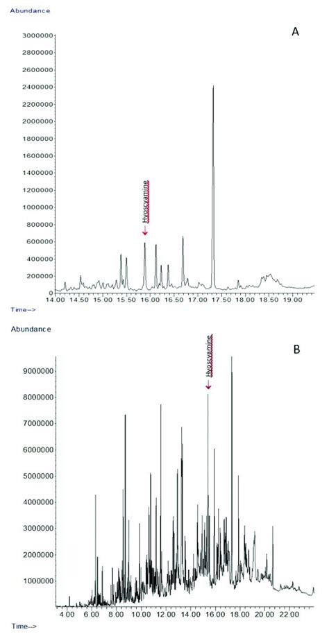 Chromatograms Detector Response Abundance Vs Retention Times In Min