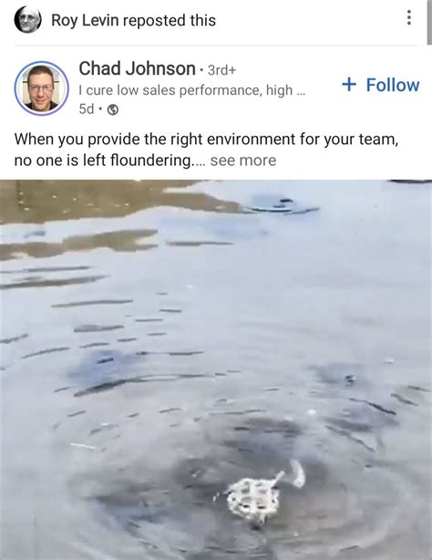 Chris Whitbread On Linkedin Someone In My Feed Just Tried To Turn A Video Of A Turtle On Its Back…