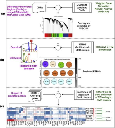 computational pipeline designed to identify transcriptional regulatory