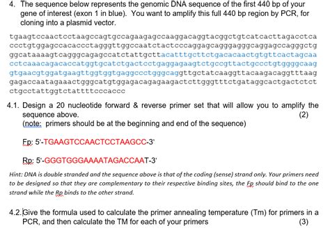 Solved The sequence below represents the genomic DNA | Chegg.com