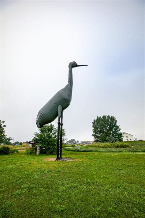 Worlds Largest Sandhill Crane In Steele North Dakota