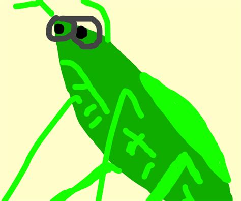 Grasshopper With Glasses Drawception