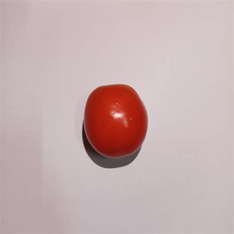 Tomato Ripe Unripe Sorter Object Detection Model By Robotics