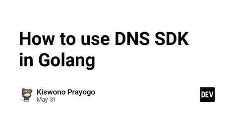 How To Use Dns Sdk In Golang Dev Community