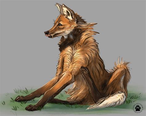 Maned Wolf Sketch By Likklelydia On Deviantart