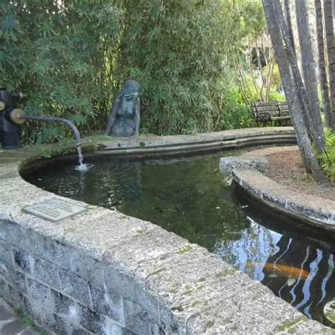 27 Raised Pond Ideas For Small Gardens Pond Informer