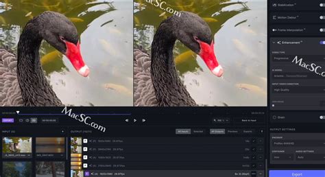 视频无损放大修复工具topaz Video Ai 新手入门教程topaz Video Ai 报错 Csdn博客