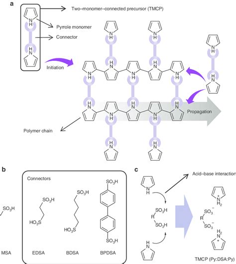 Schematic Illustration Of The Polymerization Of A Tmcp A Chemical Download Scientific