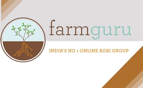 C Shevri Seed 400 Gm Garden And Outdoors