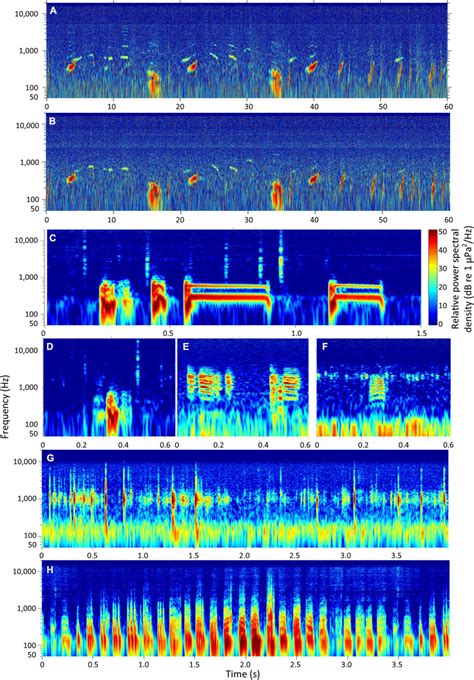 Example Spectrograms Produced 1024 Point Long Hanning Window 09