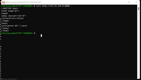 run metabase on wsl successfully but the page show cannot get