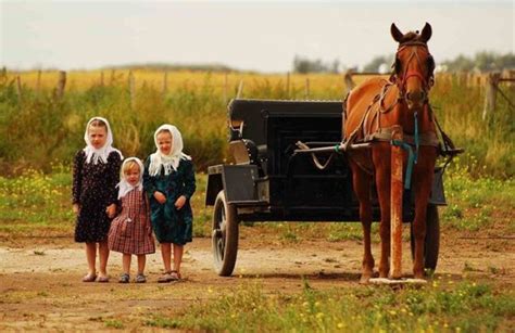 Menonitas Invaden Ecosistema Ancestral Periódico Del Meta