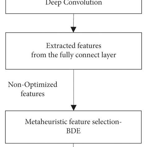 The Proposed Model For COVID 19 Download Scientific Diagram
