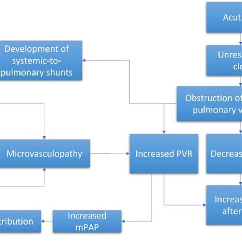 Schematic Representation Of The Pathophysiological Process Leading To Download Scientific
