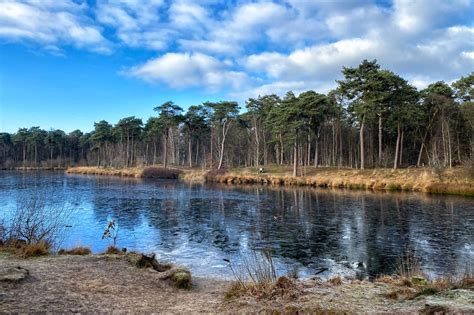 Wandelen In Noord Brabant Oisterwijkse Bossen En Vennen Artofit